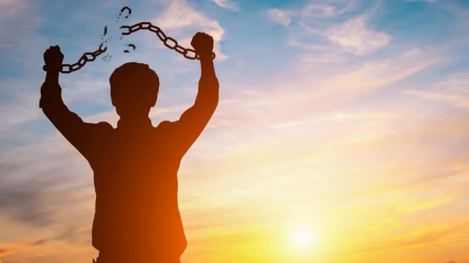 Ser libre e independiente es ser más eficaz